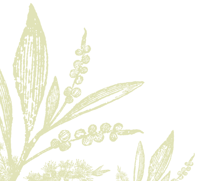 Two Rivers Green Tea