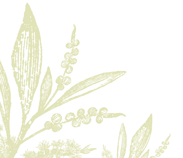Two Rivers Green Tea