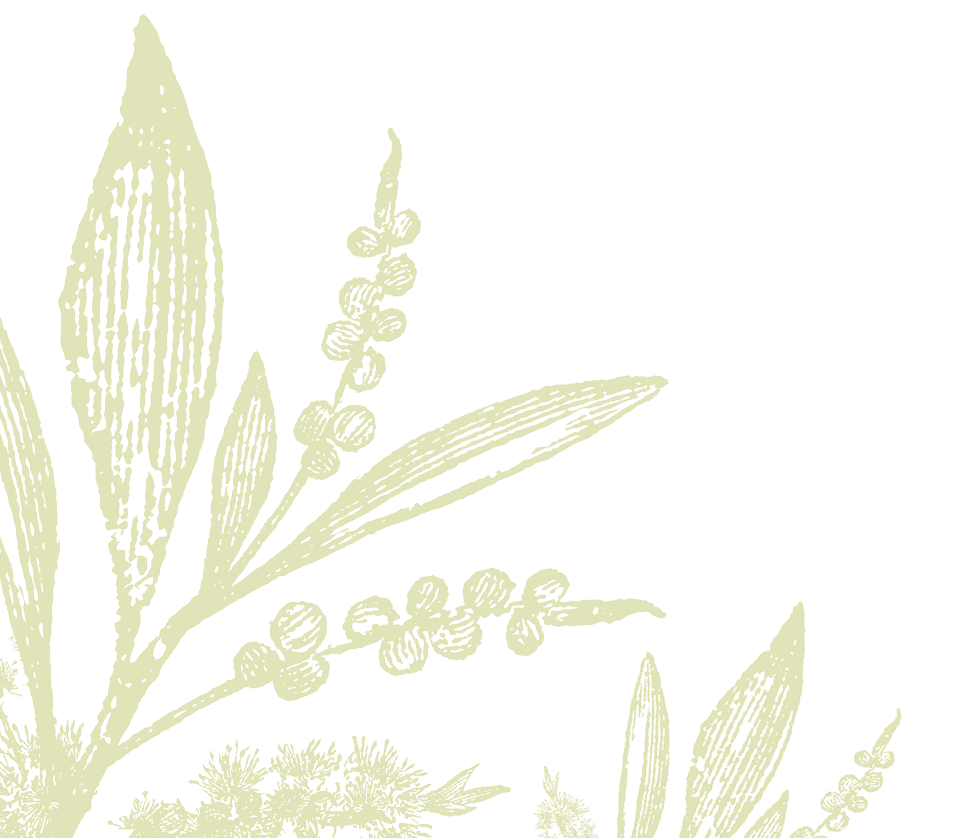 Two Rivers Green Tea