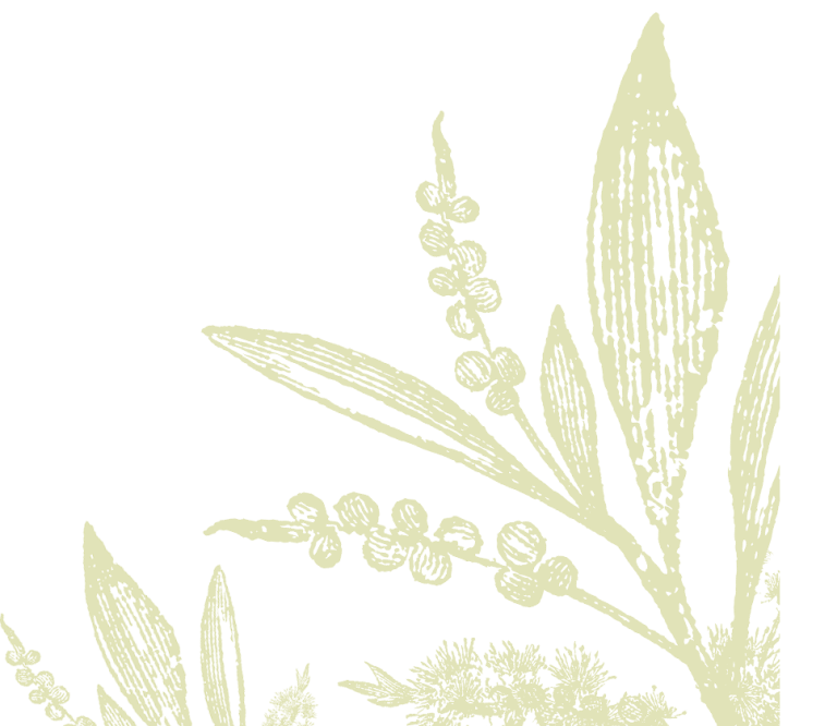 Two Rivers Green Tea